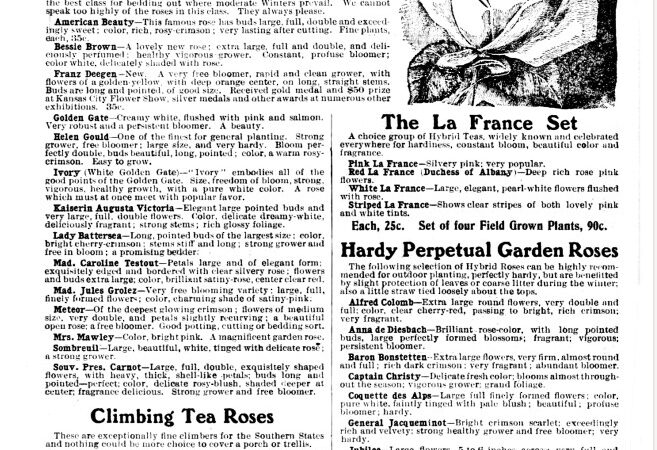 Free Printable Flower Catalog pages | Mazourka-Iris